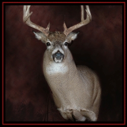 CAD Aggressive Upright Deer Manikin