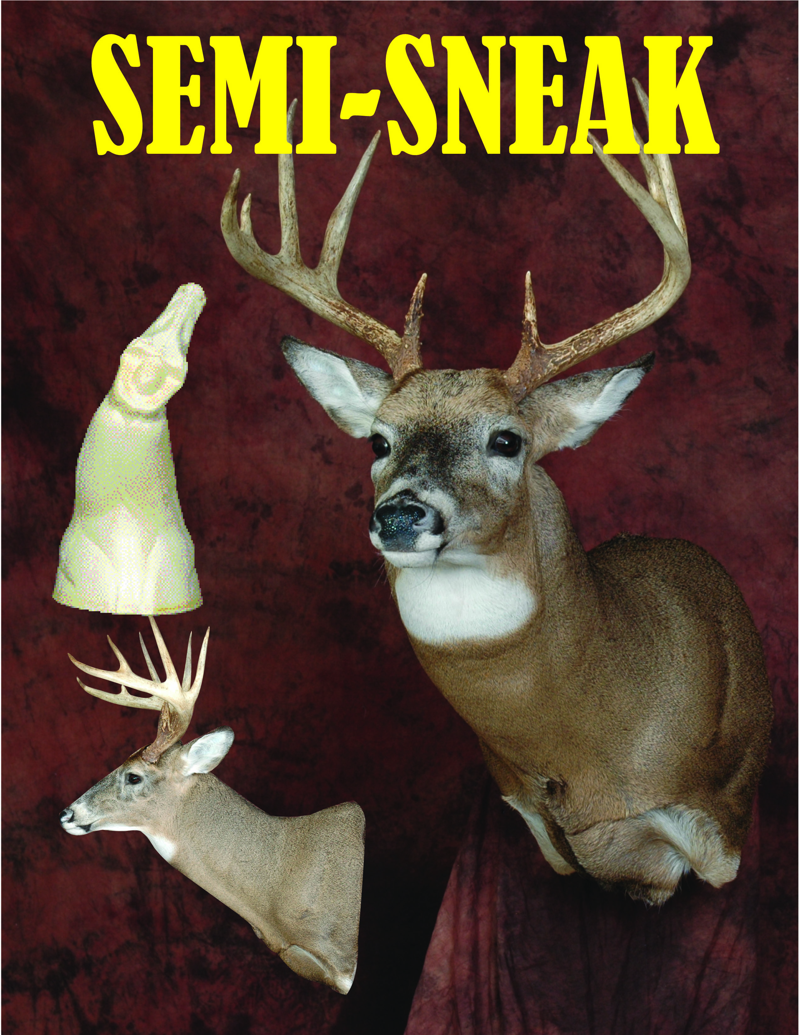 Deer Mounting Positions | Taxidermy Arts