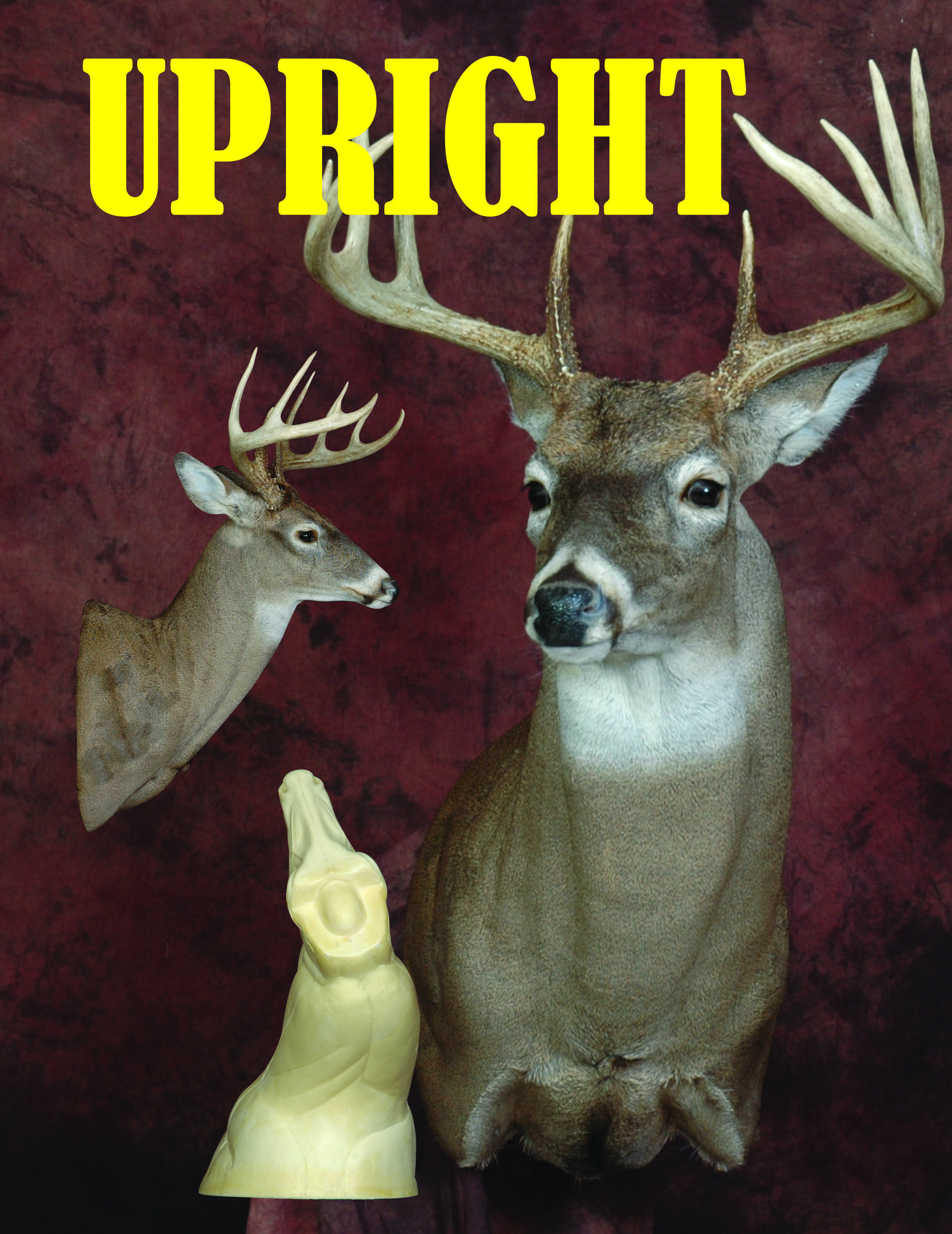 Deer Mounting Positions | Taxidermy Arts
